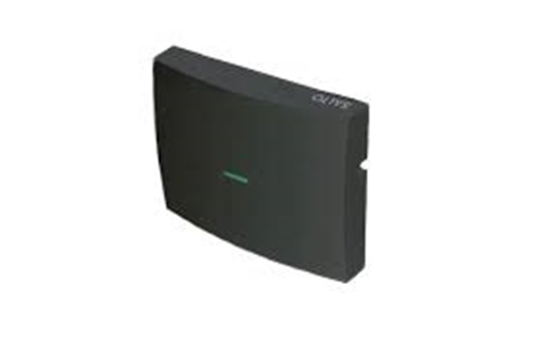 Raadsma - KS SALTO CONTROLLER ZWART VOOR WANDLEZER